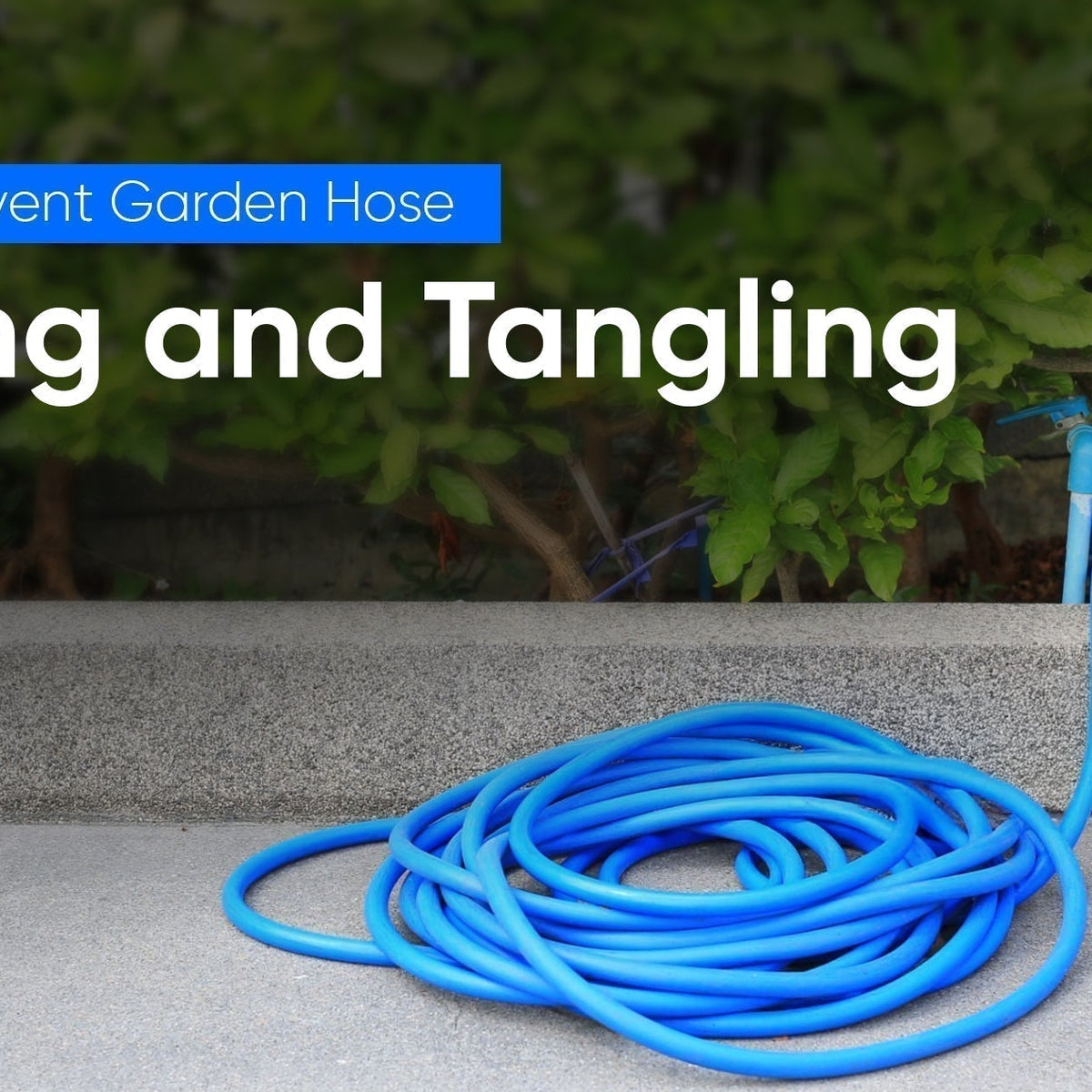 How to Prevent Garden Hose Kinking and Tangling – TheBlueHose